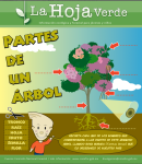 La Hoja Verde 100: Las partes de un árbol