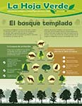 Hoja Verde - El bosque templado